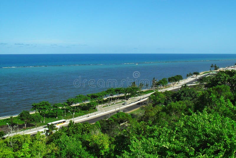 View from the Top of the Breakwater with Beach and Seaside Vegetation ...