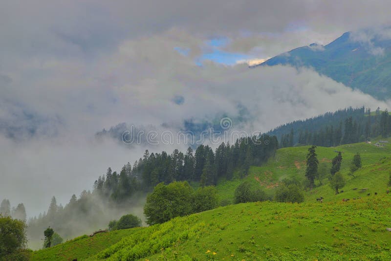 View from the Top of the Bunbuni Pass, Himachal Pradesh India Stock ...