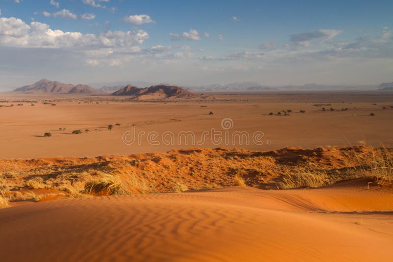 View from the Top of the Elim Dune Stock Photo - Image of national ...