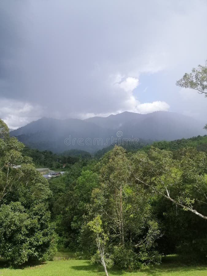 View from Top of the Hill Janda Baik Stock Photo - Image of baik ...