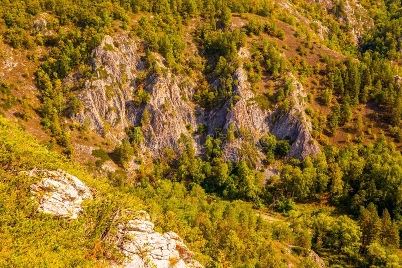 View from the Top of the Ural Taiga. Stock Image - Image of environment ...