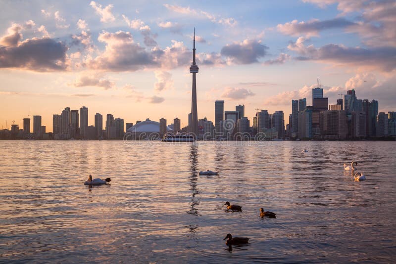 View of Toronto Canada Cityscape Stock Image - Image of office, economy ...