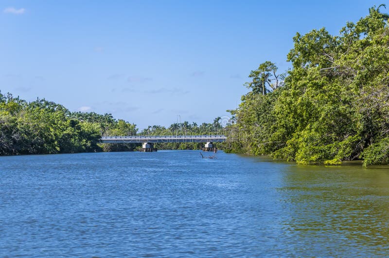 A View Towards a Bridge Over the Belize River in Belize from the Sea ...