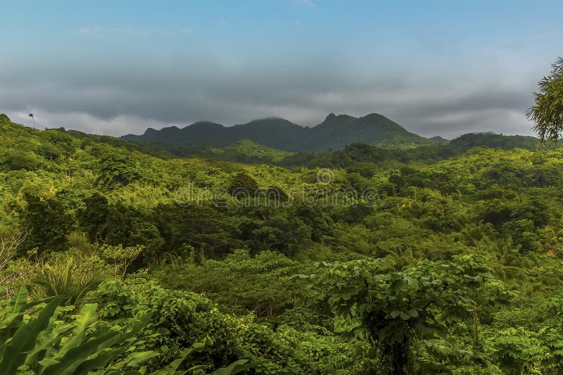 A View Towards the Stratovolcano, Mount Saint Catherine in Grenada ...