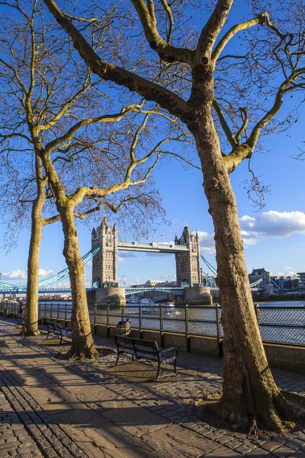 View of Tower Bridge Along the Thames Path in London Stock Image ...
