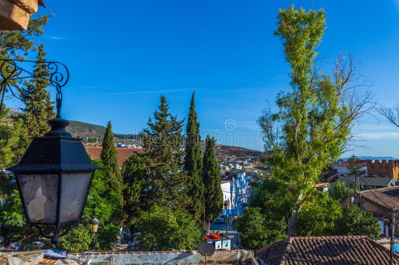 View Town Blue Buildings Interspersed Trees Rooftops Stock Photos ...