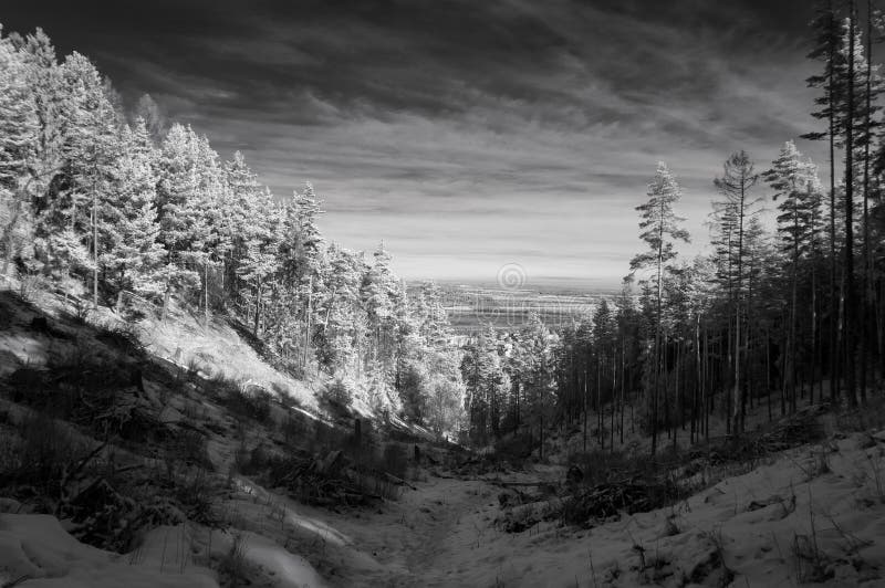 View of the Town of Svit from the Baba Mountain Range Under the High ...