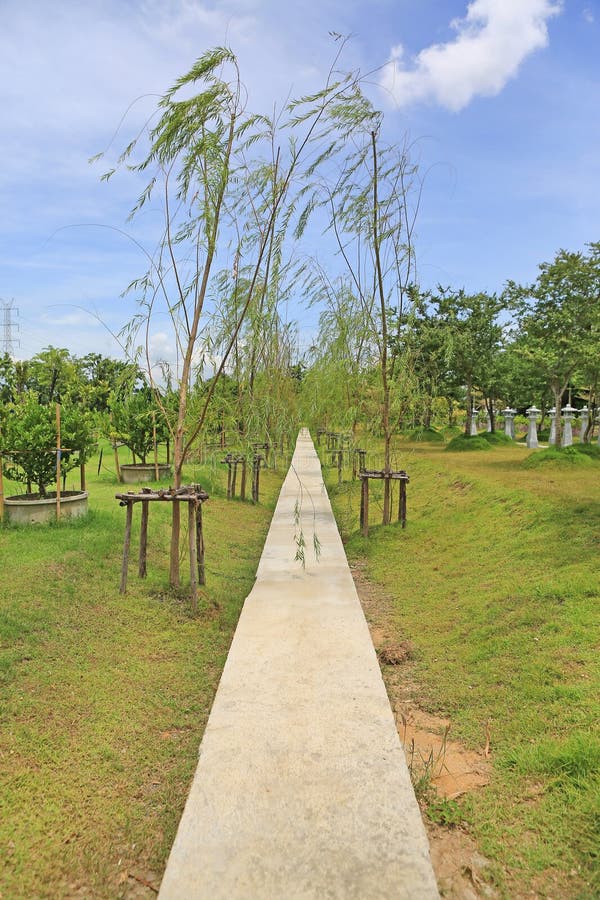 View of Traditional Japanese Garden with Walk Pathway Stock Image ...