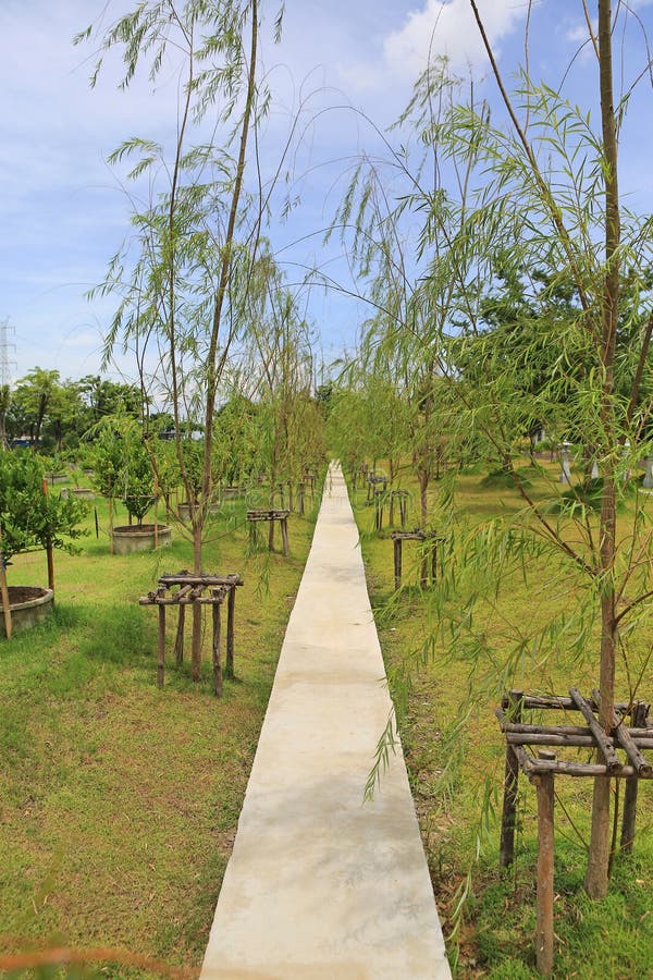 View of Traditional Japanese Garden with Walk Pathway Stock Image ...