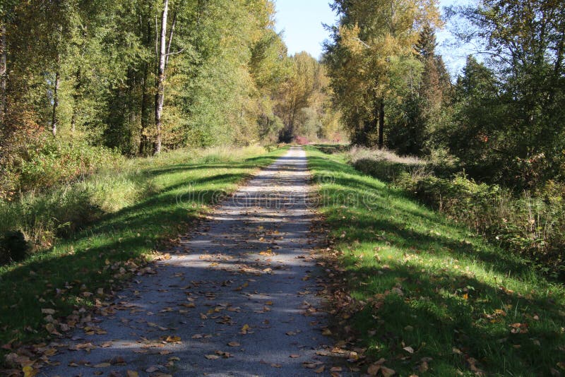 A View of a Trail with Trees on the Left Side Stock Photo - Image of ...