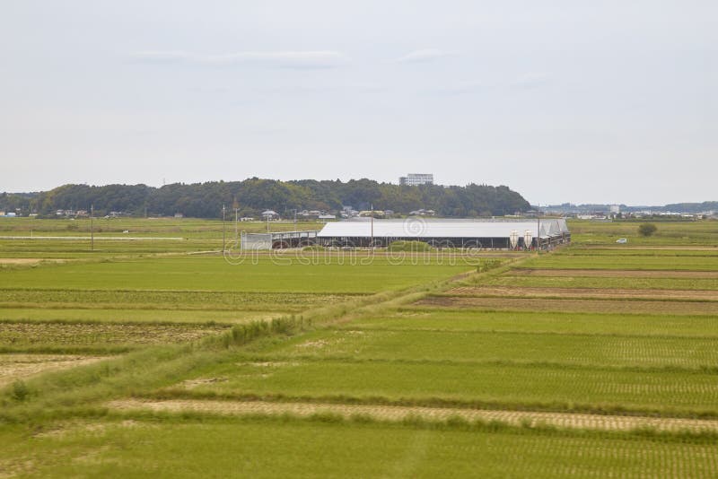 View Train Farmhouses in Japan Stock Photo - Image of lake, beautiful ...