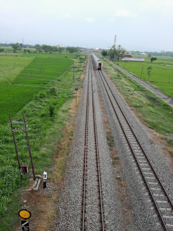 The train passes stock photo. Image of rice, passing - 343328872