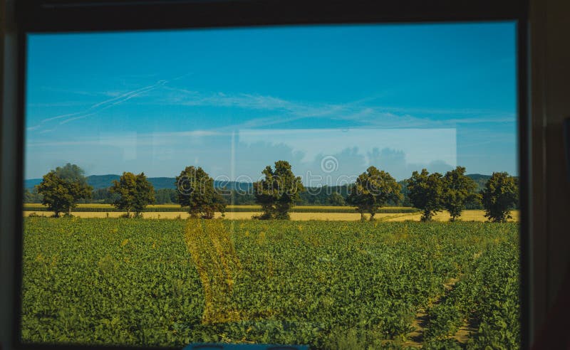 View from Train Window on Trees and Fields Stock Photo - Image of ...
