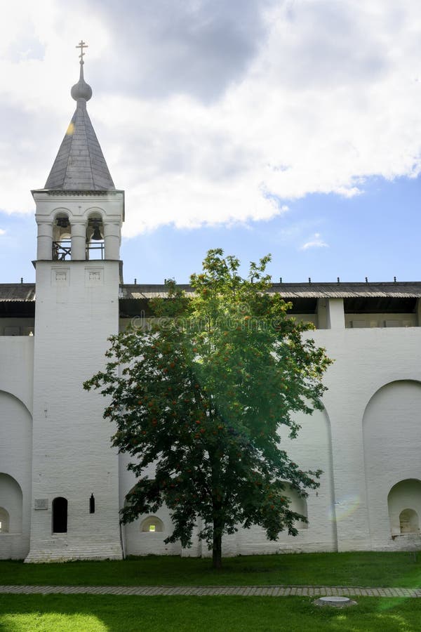 A Tree with Berries in a Ray of Bright Sun Next To the Wall and Bell ...