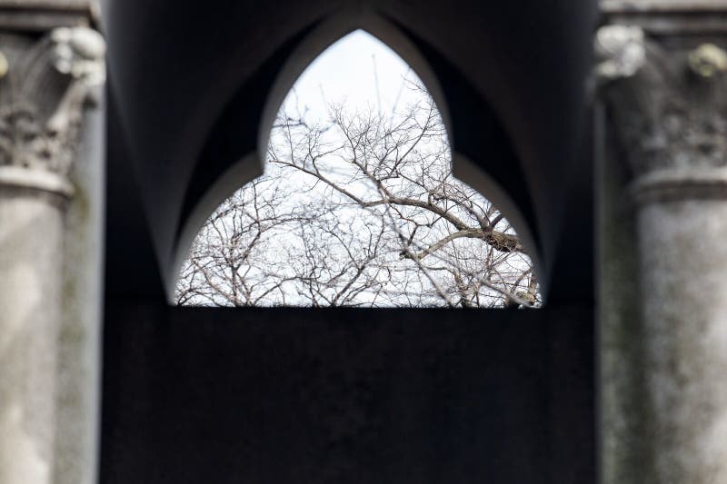 View of the Tree Branches through Antique Vintage Window between ...