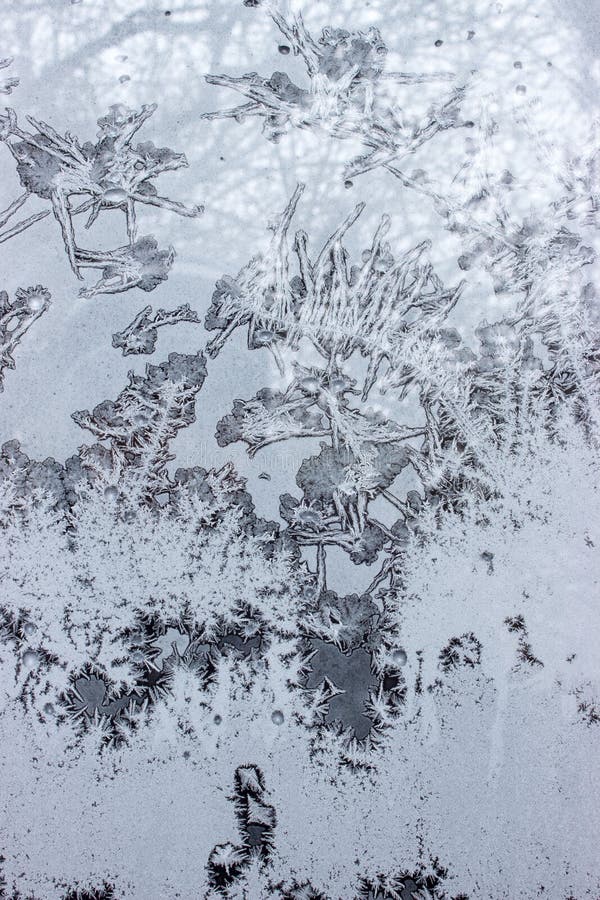 A View of Tree Branches through a Frozen Window Stock Image - Image of ...
