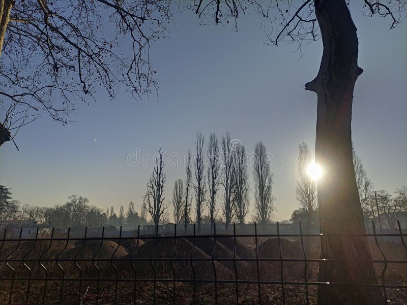 View of the Tree Line and the Sunrise Breaking through the Tree Stock ...