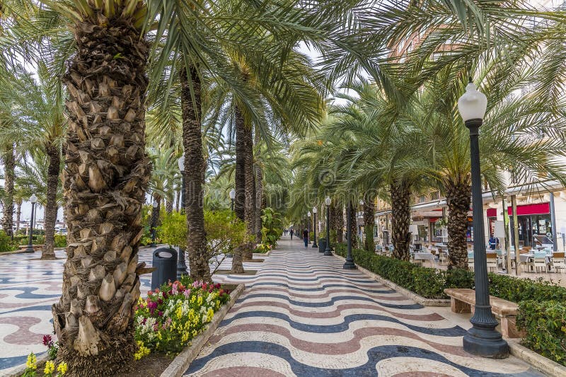A View of the Tree Lined Esplanade in Alicante Editorial Photo - Image ...