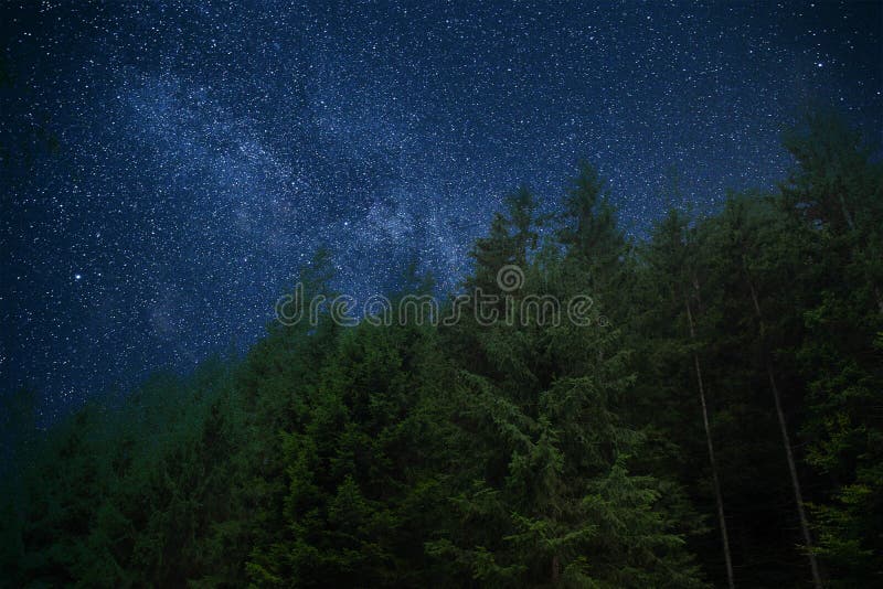 A View on the Tree in Space. Stock Image - Image of stars, space: 197042727