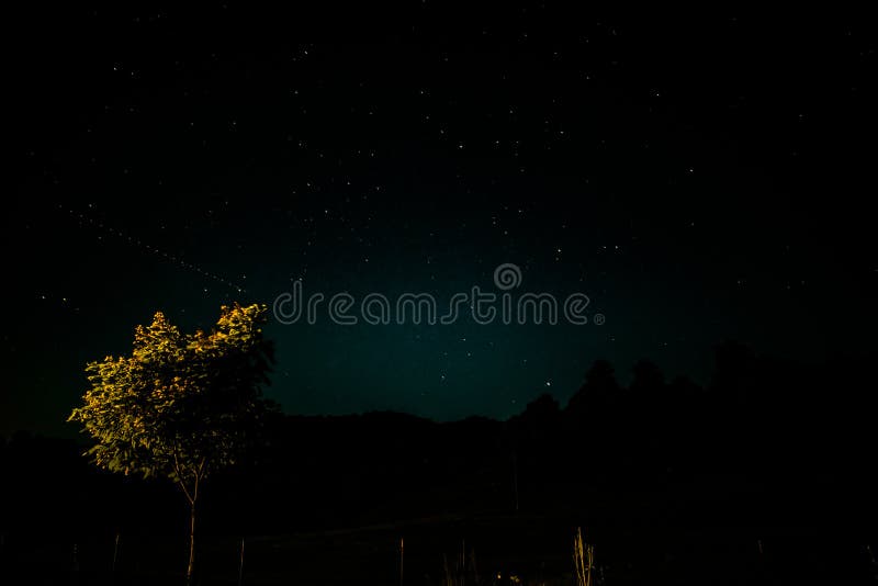 View of a Tree on a Starry Night Sky Over Hills Stock Photo - Image of ...
