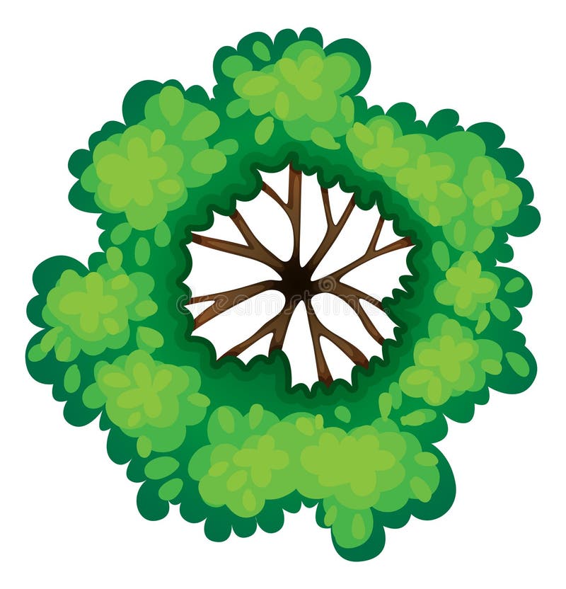 A View of a Tree from the Top Stock Vector - Illustration of plant ...