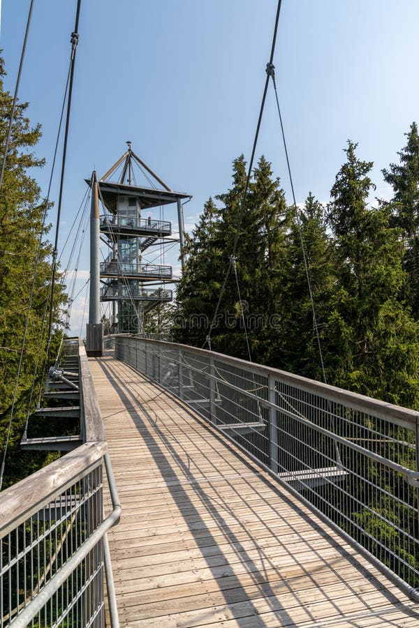 View of the Tree Top Path and Trail in the Hills of Southern Bavaria in ...