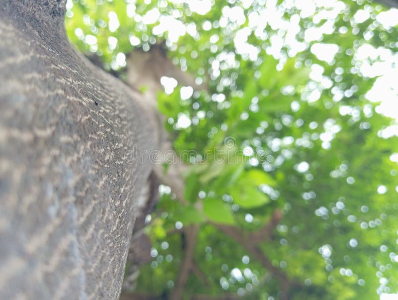 Vocus Background Stock Photos - Free & Royalty-Free Stock Photos from ...