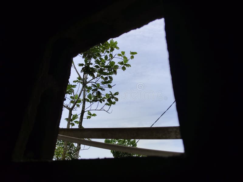 View of Tree through a Window Frame in Bright Daylight Stock Photo ...