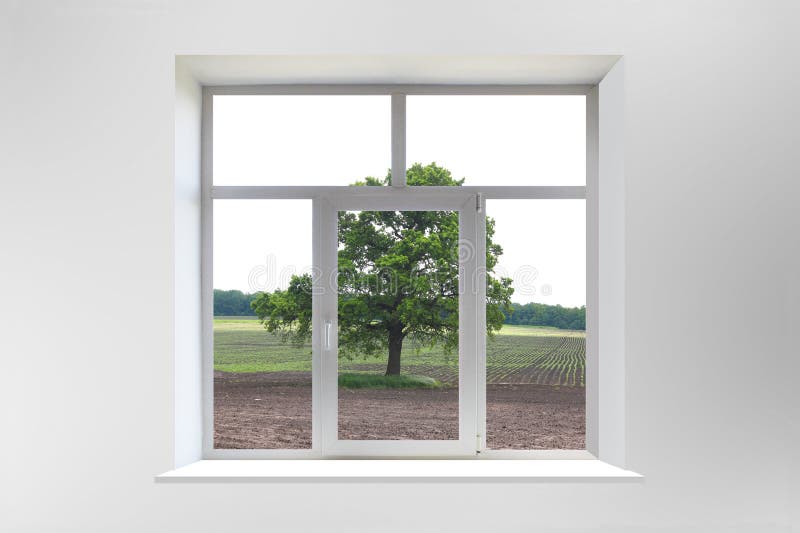 View of tree from window stock photo. Image of room - 358734898