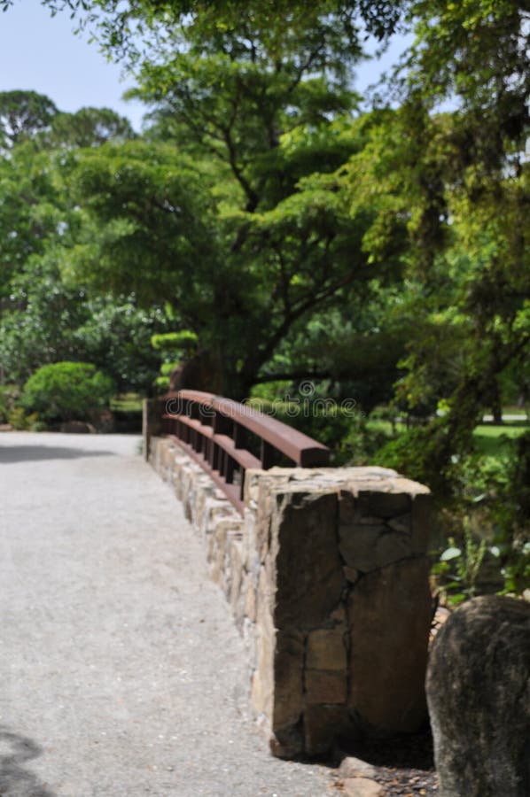 A View of the Trees Along the Walkway at the Bridge in Morikami Gardens ...