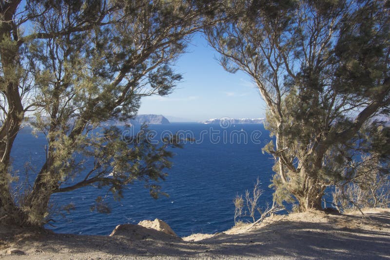 View in the Trees the Caldera in Santorini Stock Photo - Image of ...