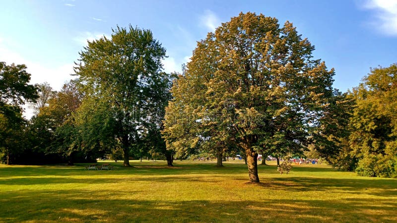 View at Trees and Fields on Toronto Islands Park Stock Photo - Image of ...