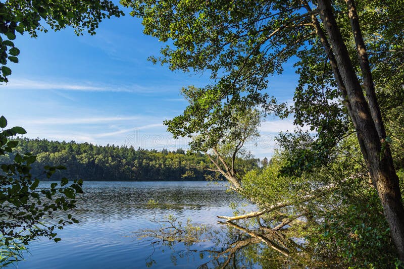 View with Trees at the Lake Pipersee in Salem, Germany Stock Photo ...