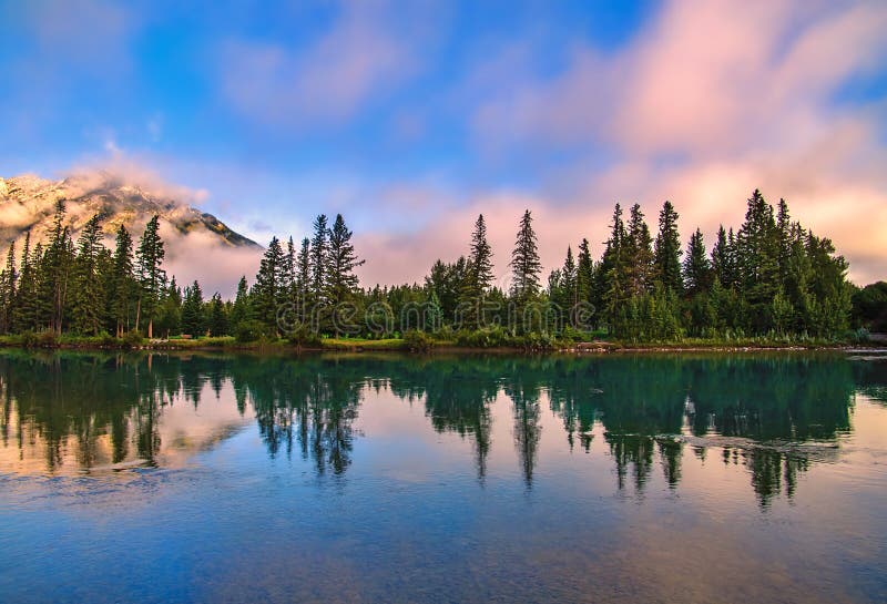 Treeline Reflections on the Bow River Stock Photo - Image of morning ...