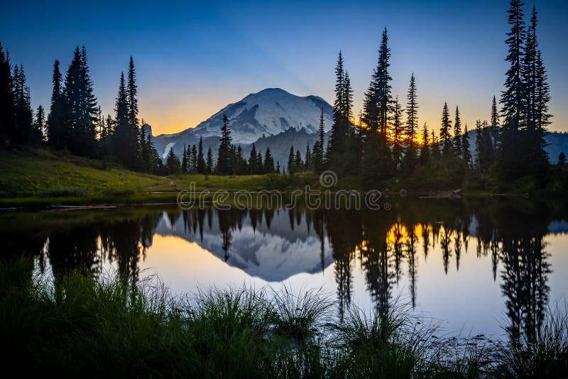 View of Trees and Mount Rainier Reflecting on the Water of Tipsoo Lake ...