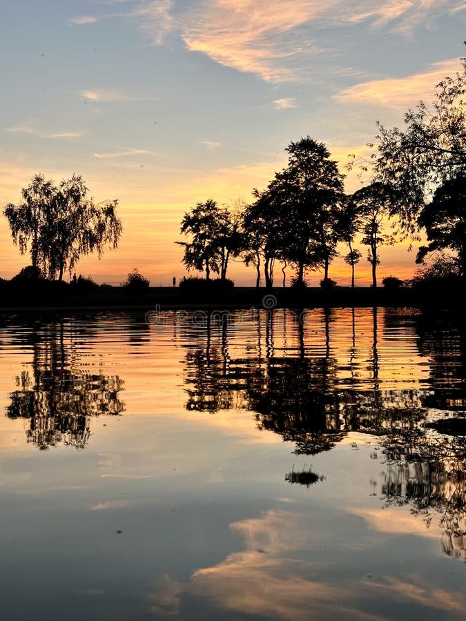 A View of Trees that are Reflected in the Water and the Sunset Stock ...