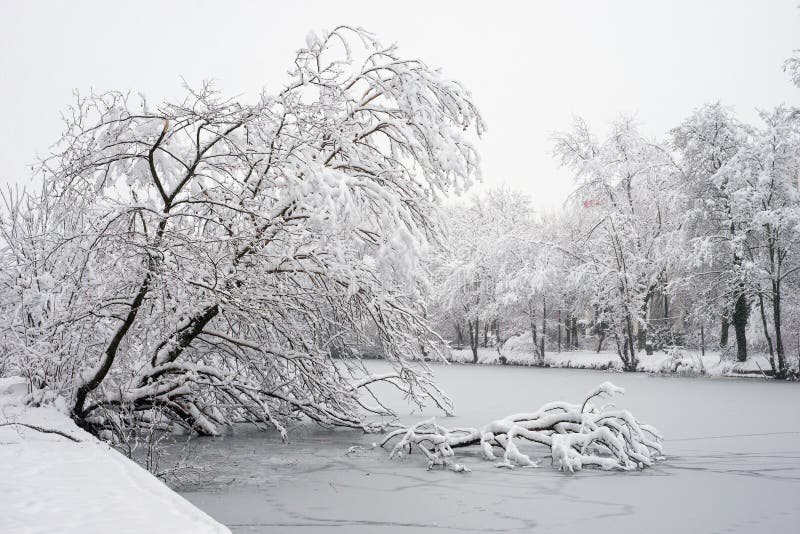 Trees Silhouettes in Border Frozen River during a Snowy Day Stock Photo ...