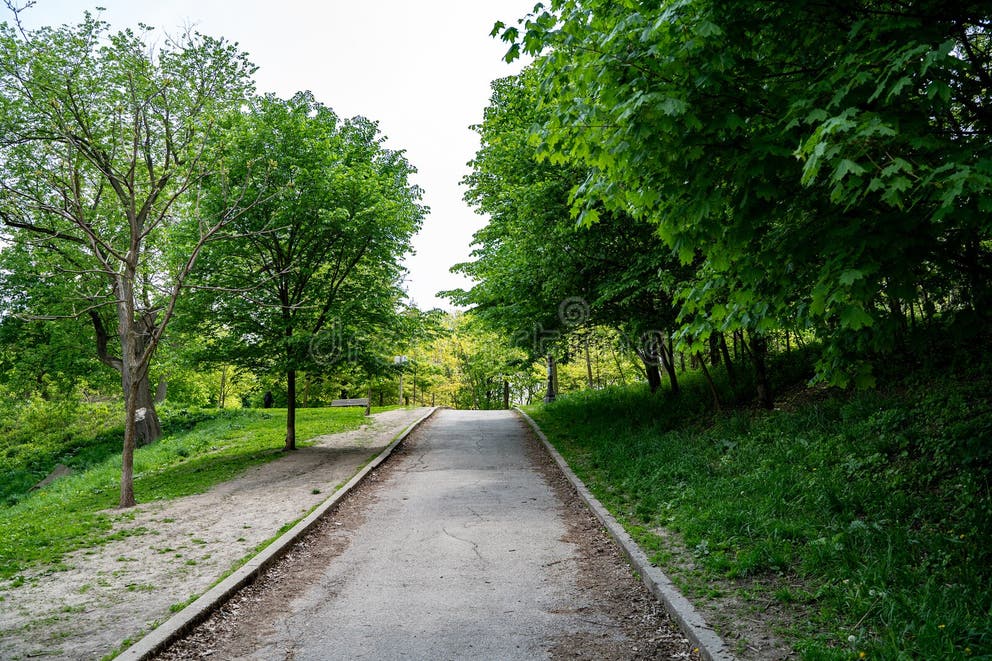 View of Trinity Bellwoods Park in Spring. Trinity Bellwoods Park is a ...