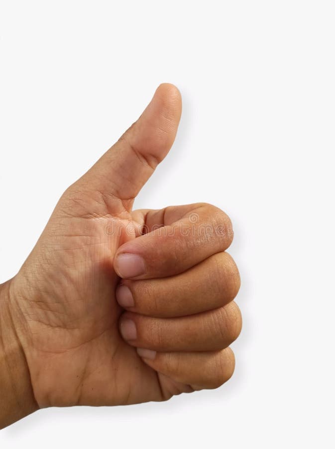 View of Tumb Finger of Hand on White Background Stock Image - Image of ...