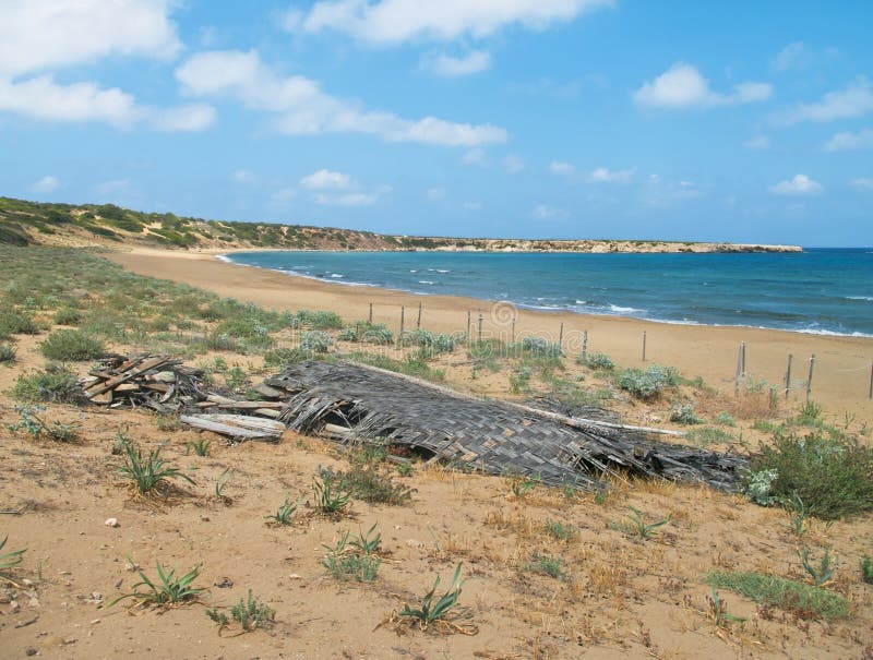 View of turtle beach stock photo. Image of cyprus, locations - 44281346