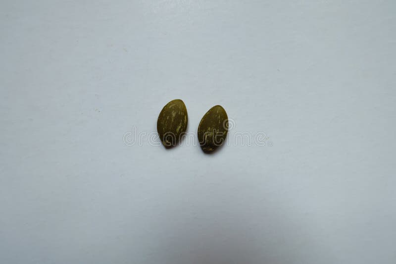View of Two Kernels of Pumpkin Seeds from Above Stock Photo - Image of ...