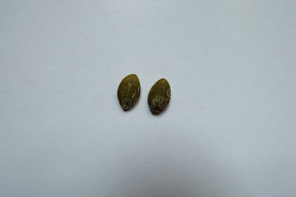 View of Two Kernels of Pumpkin Seeds from Above Stock Photo - Image of ...