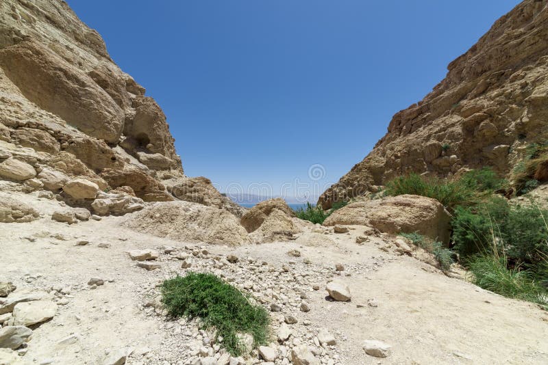 View between Two Mountains of the Blue Horizon, the Green Vegetation ...