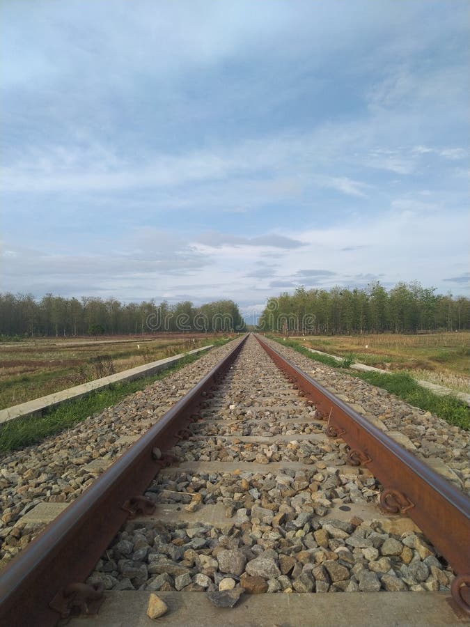 A View of Two Rail and Jungle Blocks from a Distance Stock Image ...