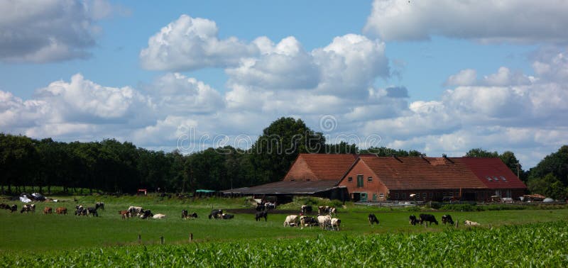 View on Typical German Farmland. Stock Image - Image of food, country ...