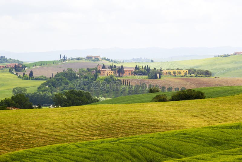 Spring in Tuscany stock photo. Image of beauty, beautiful - 31830168