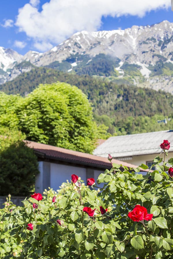 View of the Tyrolean Alps. Landscape in Thaur Stock Photo - Image of ...