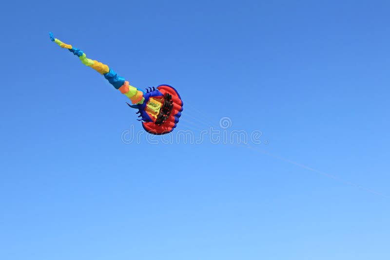 A View Under the Belly of a Stingray-shaped Kite Stock Photo - Image of ...