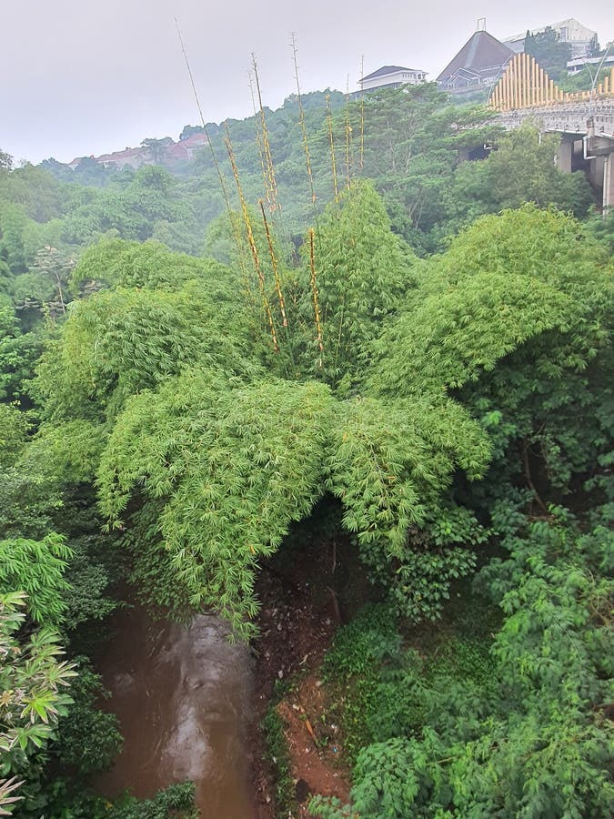 The View Under the Street South City Tangerang West Java Indonesia ...
