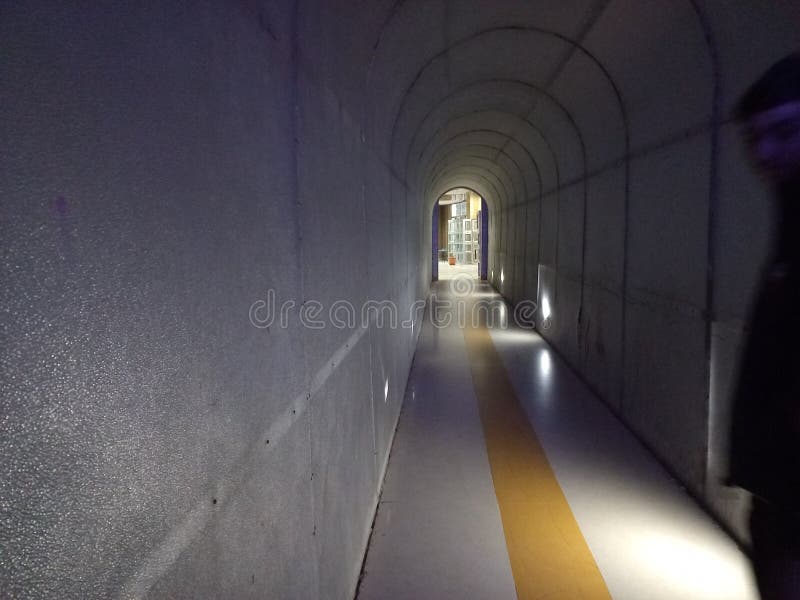 View of an alley stock photo. Image of indoors, white - 264833502